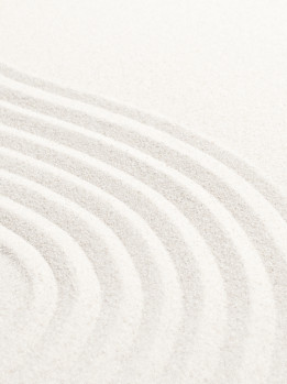 PRIME MAX ZINC PLUS | Healthiness